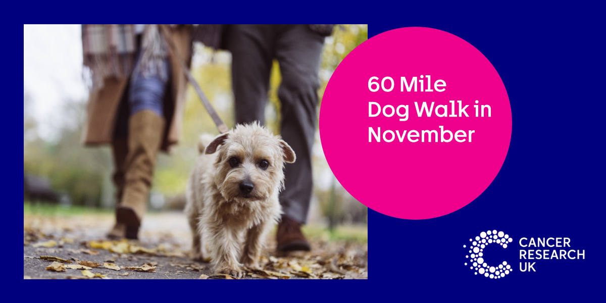 60 Mile Dog Walk in November 2025